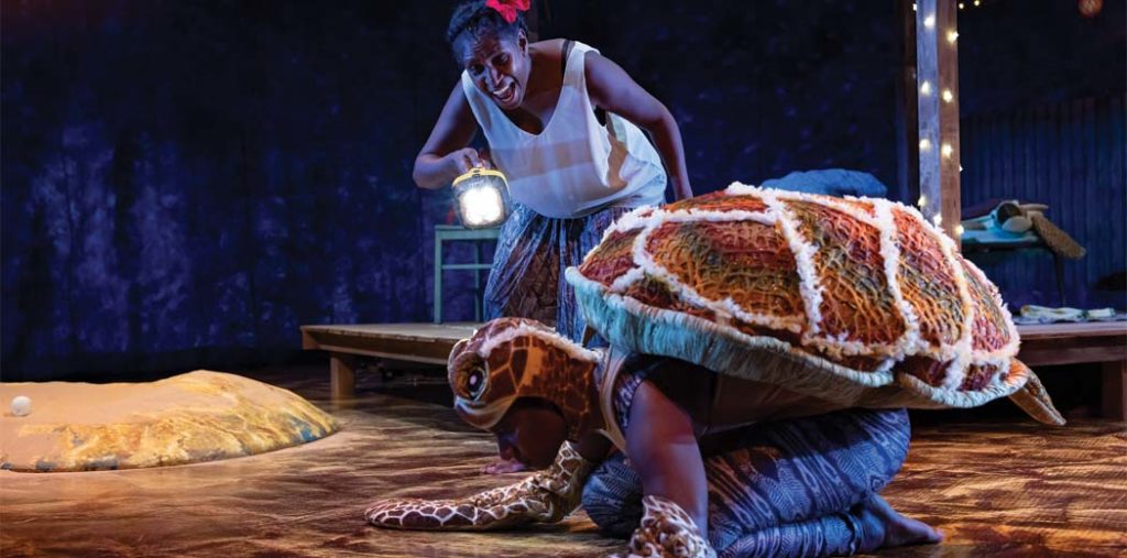 Waru - journey of the small turtle - Pavilion Performing Arts Centre