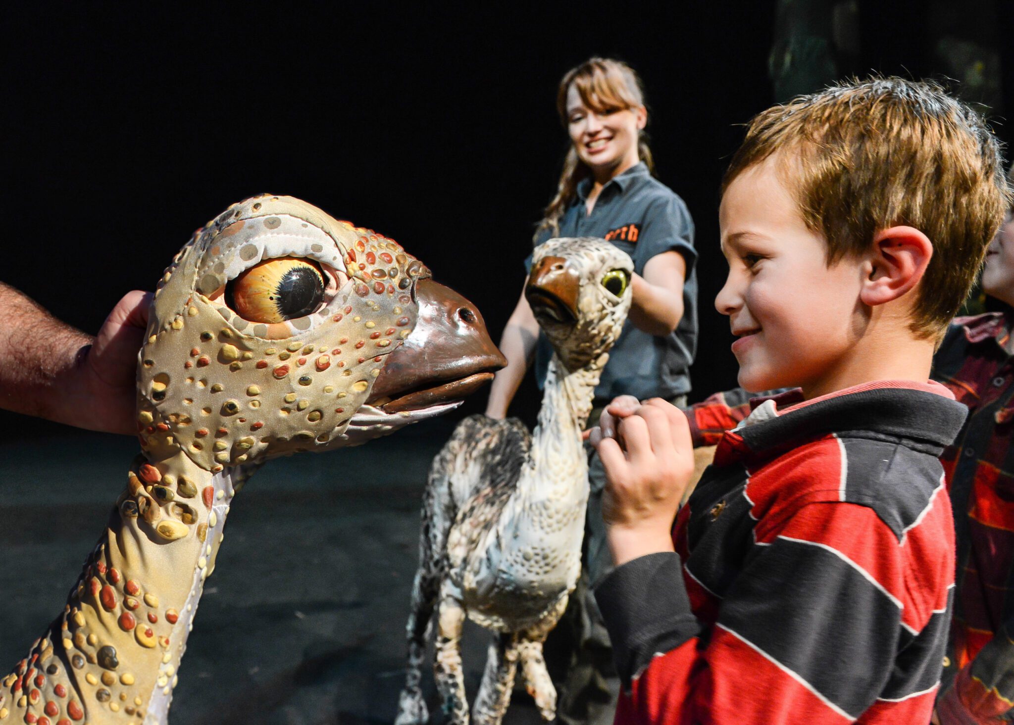 Erth's Dinosaur Zoo - Pavilion Performing Arts Centre Erth Dinosaur Zoo